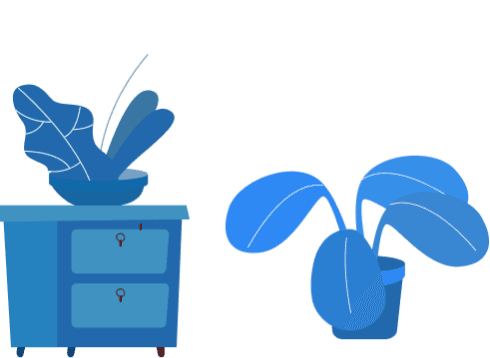 Conoce tu estatus ante el SAT